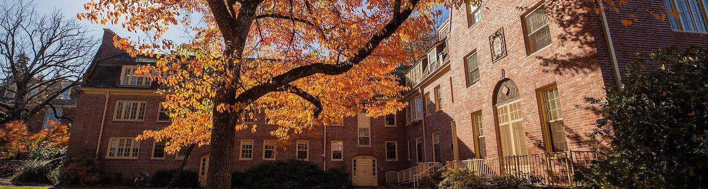 Undergraduate Programs | Humanities Program | Humanities